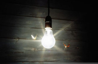Do LED Lights Attract Bugs? – SuperLightingLED Blog