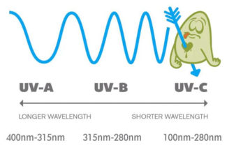 Does UV Light Kill Mold, Fungus, And Bed Bugs? – SuperLightingLED Blog