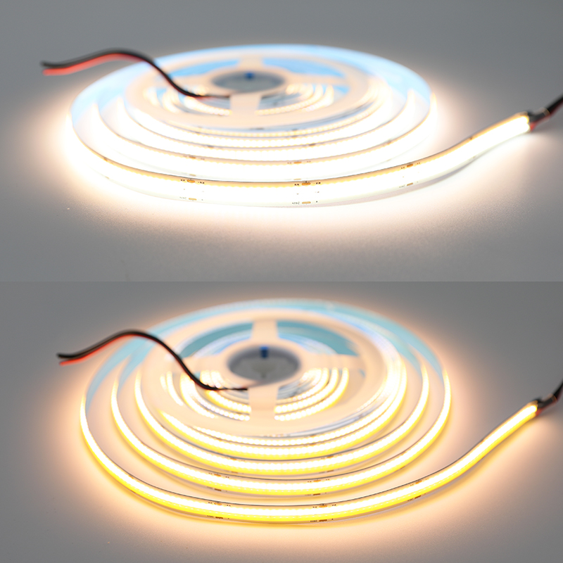 Dual Row DC12/24V 2110SMD Dual White Tunable CCT FCOB LED Strips – High ...