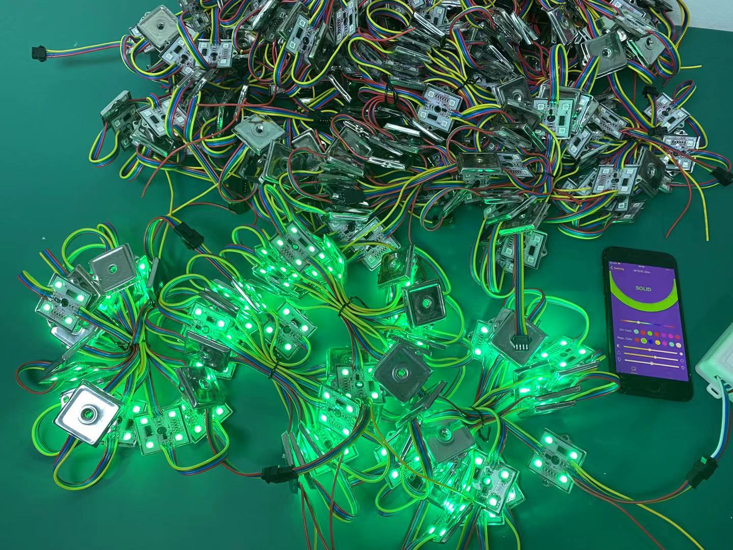 Addressable RGB Pixel Module LED String Lights Outdoor