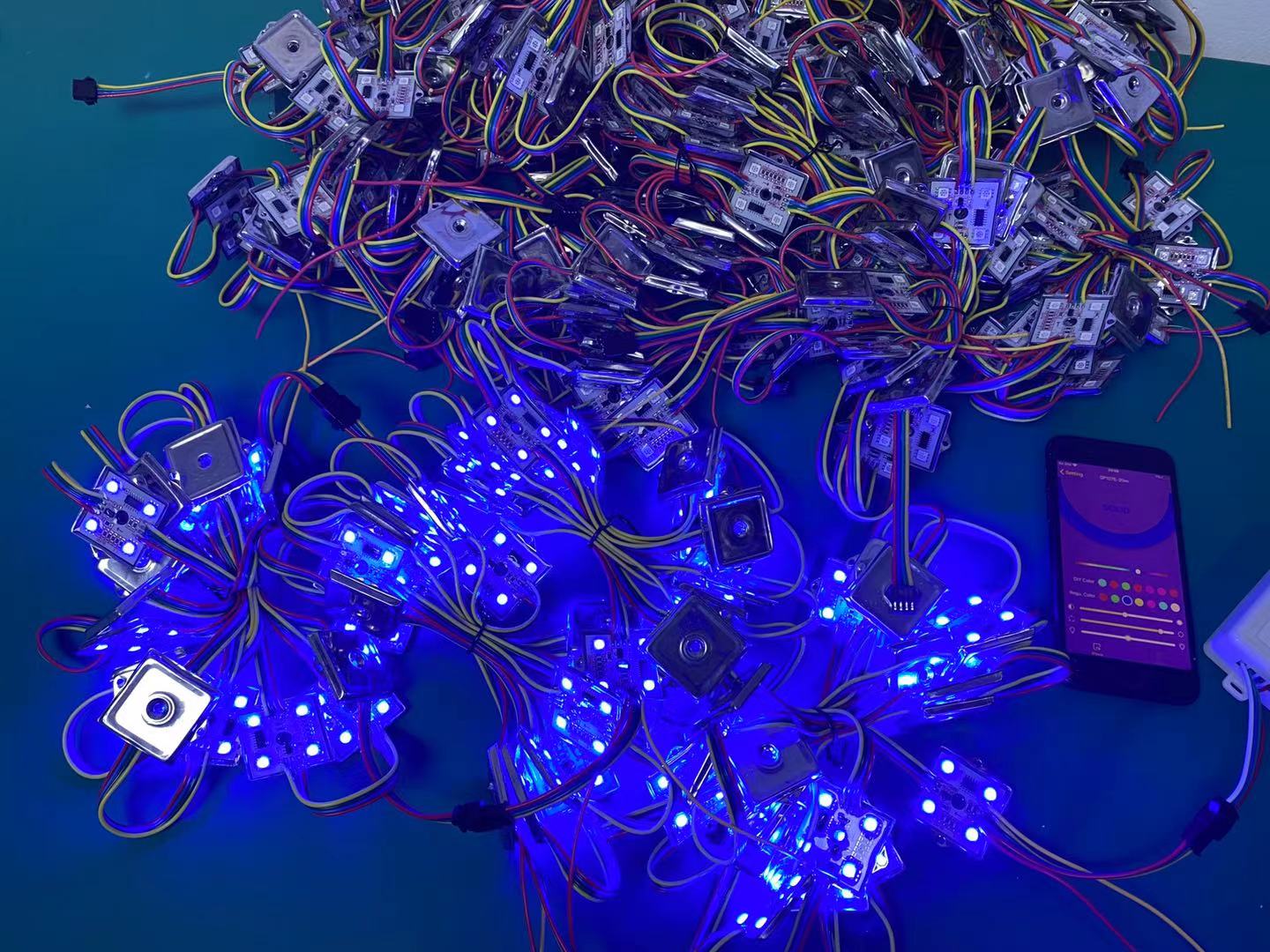 Addressable RGB Pixel Module LED String Lights Outdoor