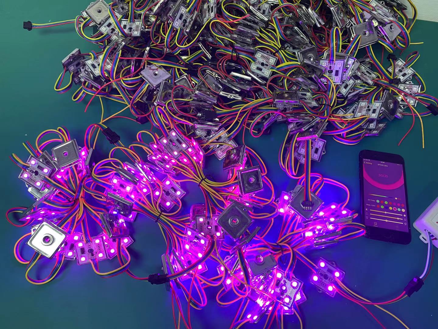 Addressable RGB Pixel Module LED String Lights Outdoor