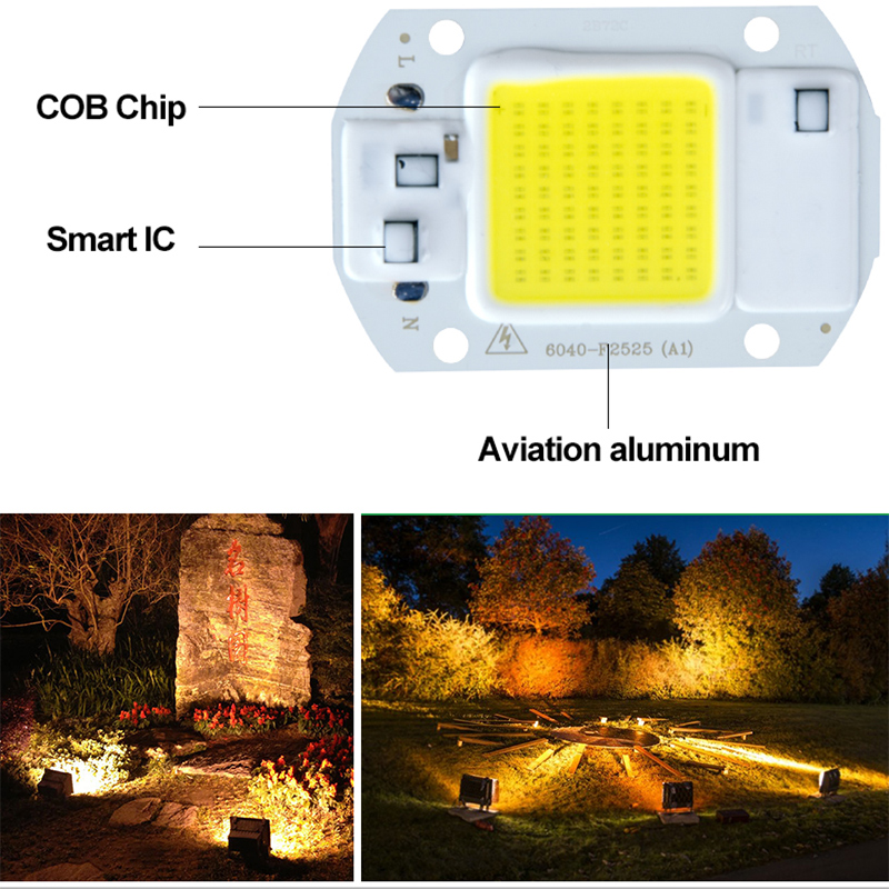 20/30/50W Waterproof IP67 COB LED 3000K/6000K Chip With Lens 110V/220V