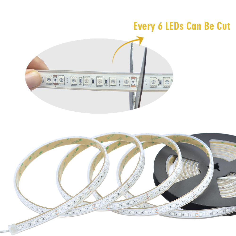 24V/12V 96LEDs/m 480LEDs 5050 RGB Color Strip Light