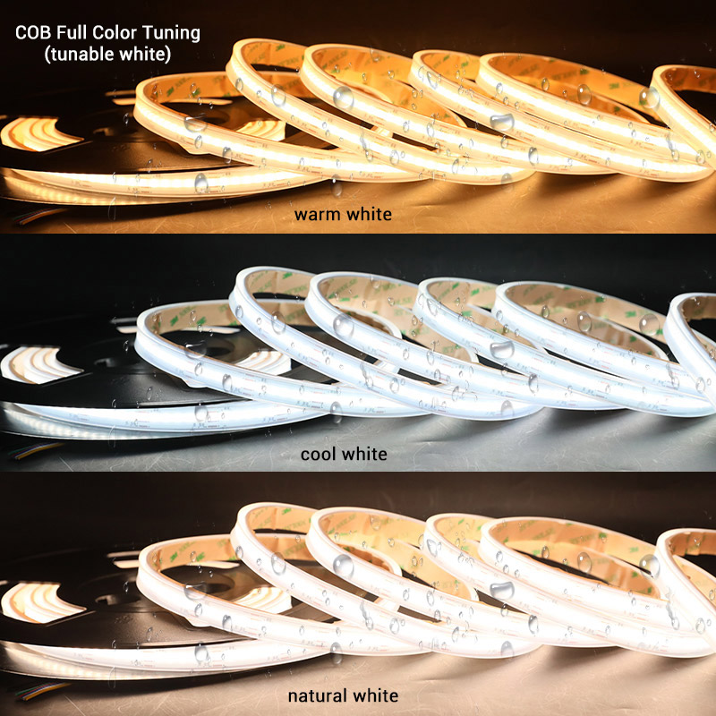 IP68 Outdoor LED RGBCW Cob Strip Light | SuperLightingLED